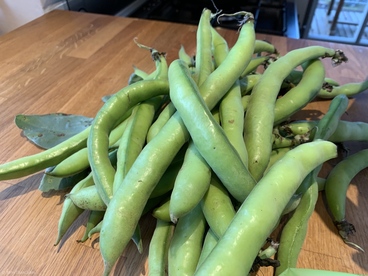 Fave fritte - gebratene Saubohnen - MoreThanCakes