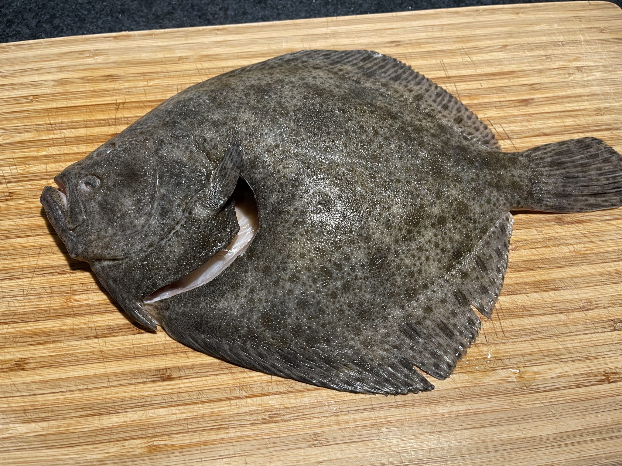 Steinbutt im Ganzen aus dem Backofen - Turbot - MoreThanCakes